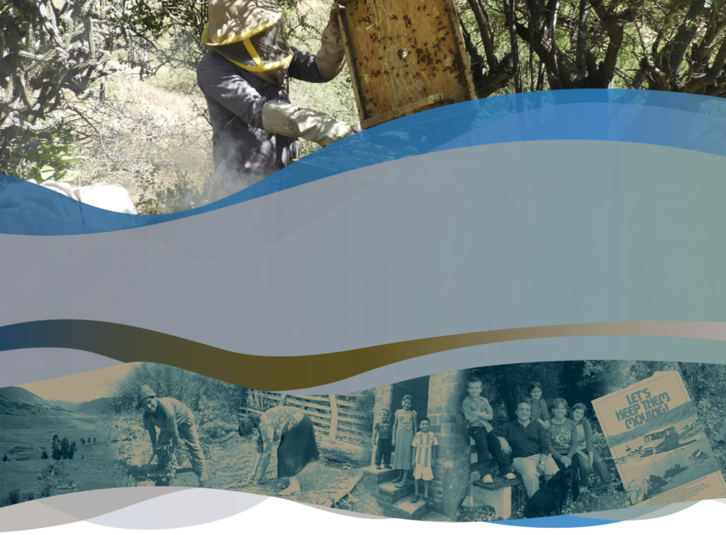 Innovation - CABA 150