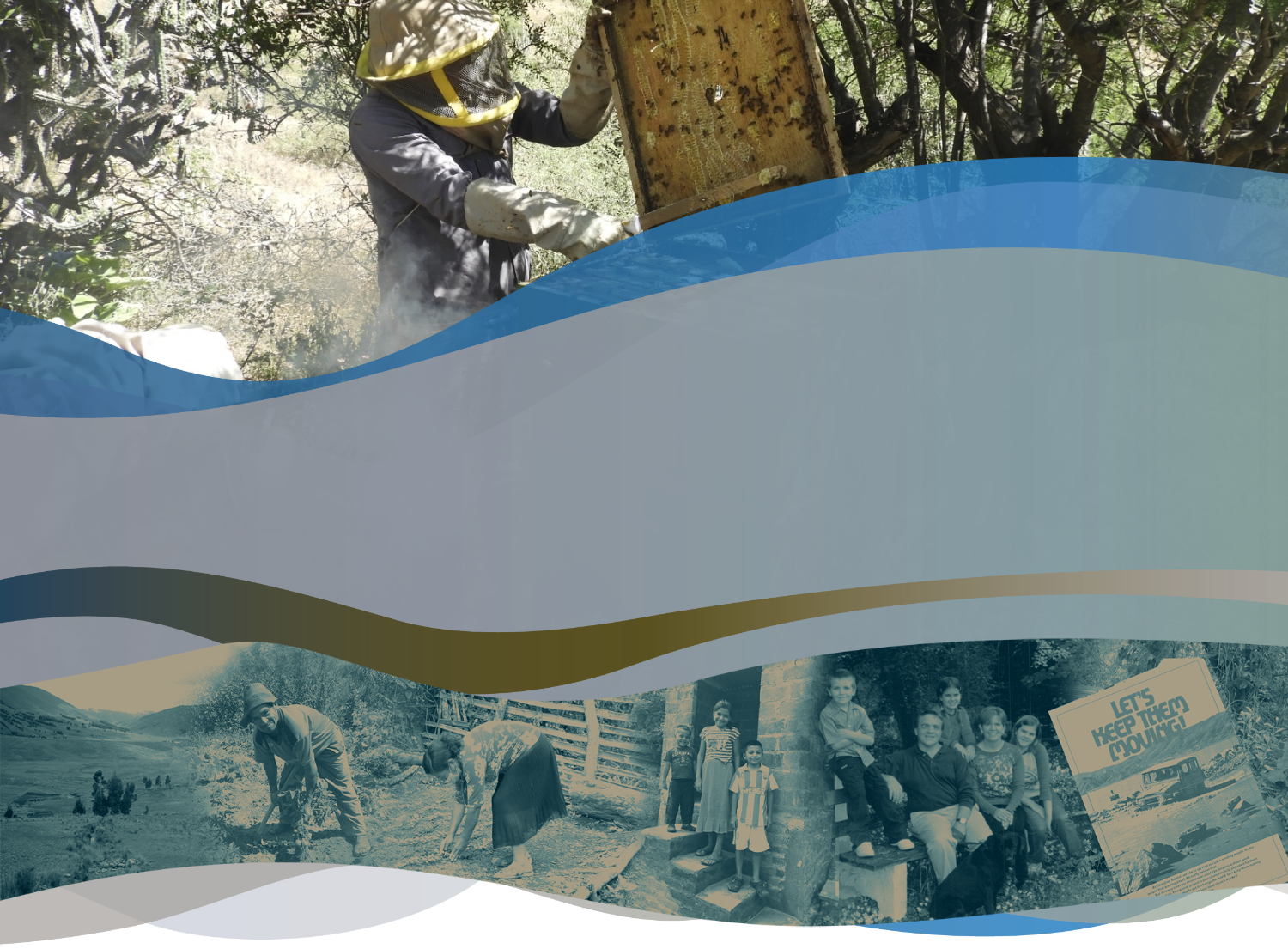 Innovation - CABA 150