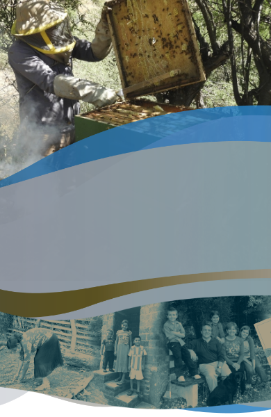 Innovation - CABA 150