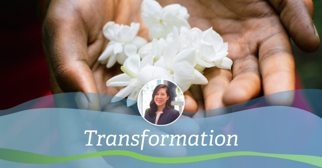 Transformation - CABA 150